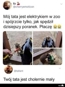 Tata elektryk :D | JebZmeme.pl